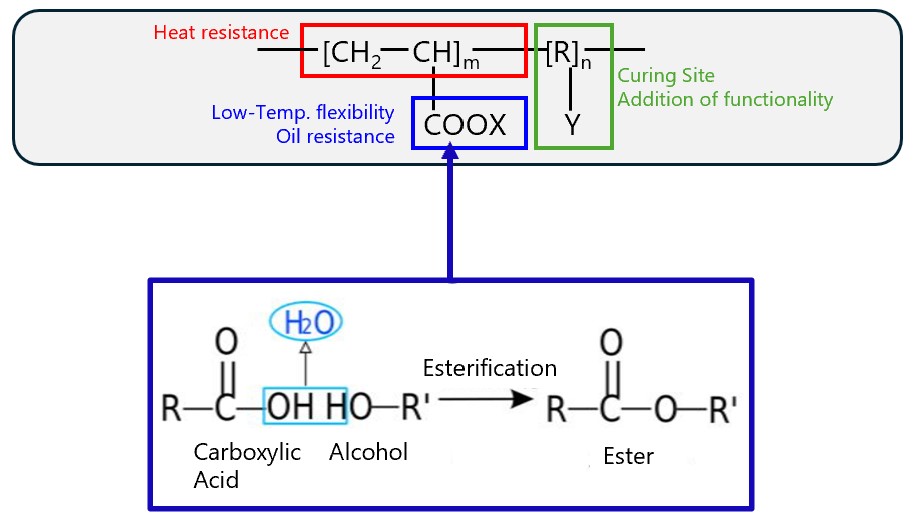 Racrester – ACM Rubber